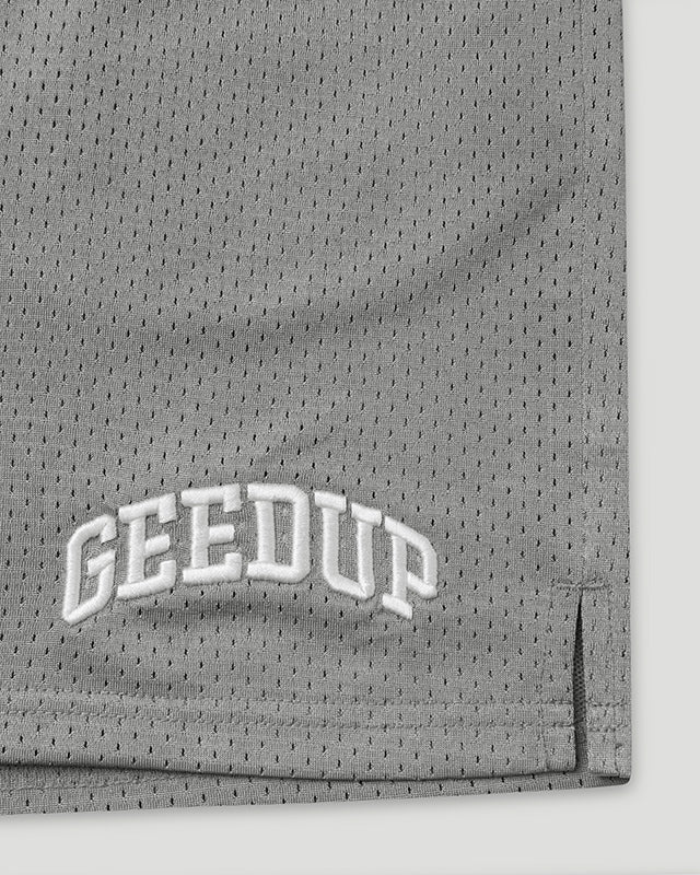 GDUP CO. Mesh Shorts Grey – Geedup Co. US
